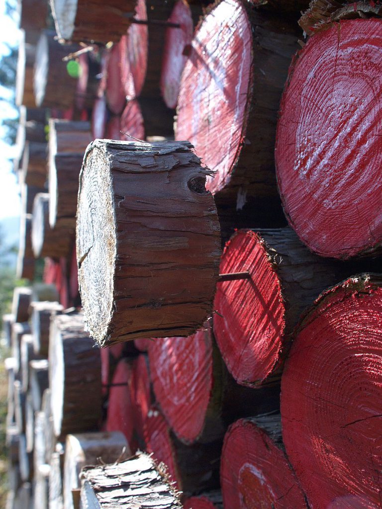 Cornelia Konrads | in Kamiyama